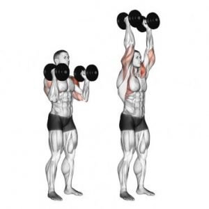 Allenare tutto il corpo con 2 manubri (e/o poca attrezzatura ...